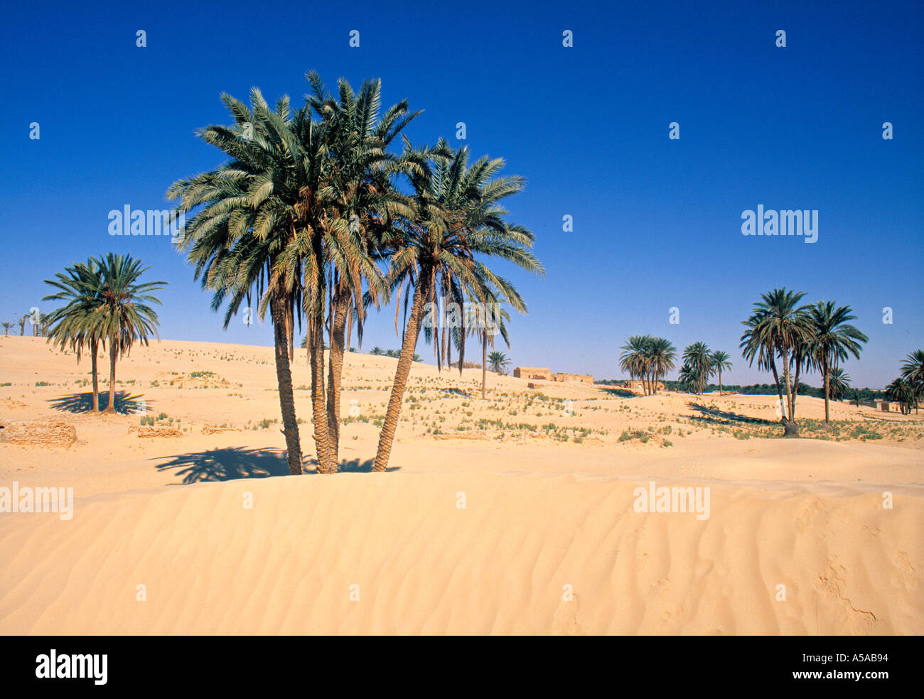 Douz hi-res stock photography and images - Alamy