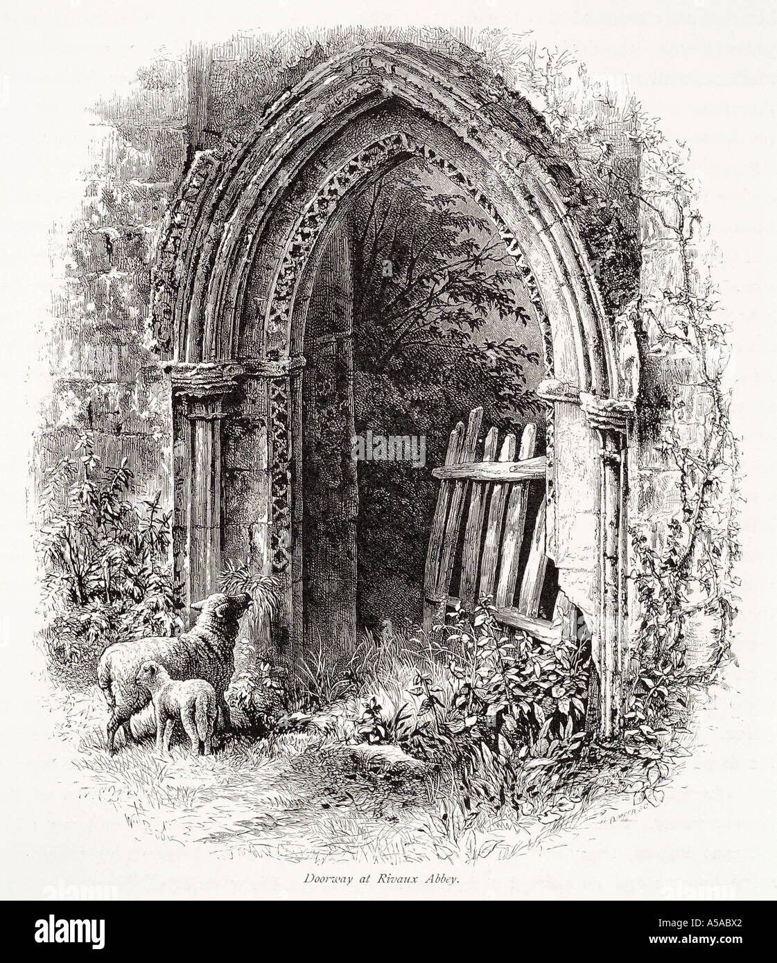 Medieval sheep hi-res stock photography and images - Alamy