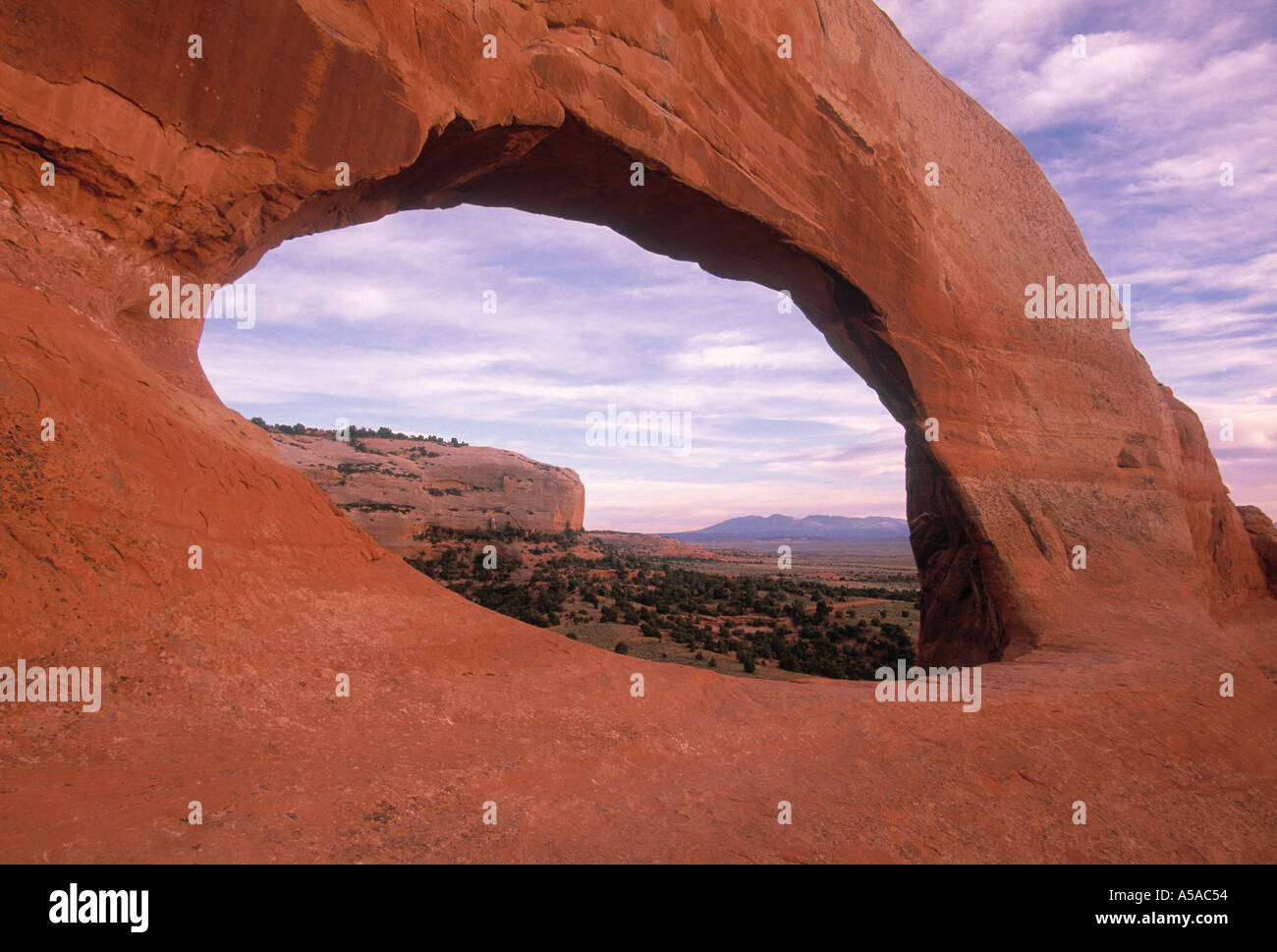 Wilson Arch, Utah, USA Stock Photo - Alamy