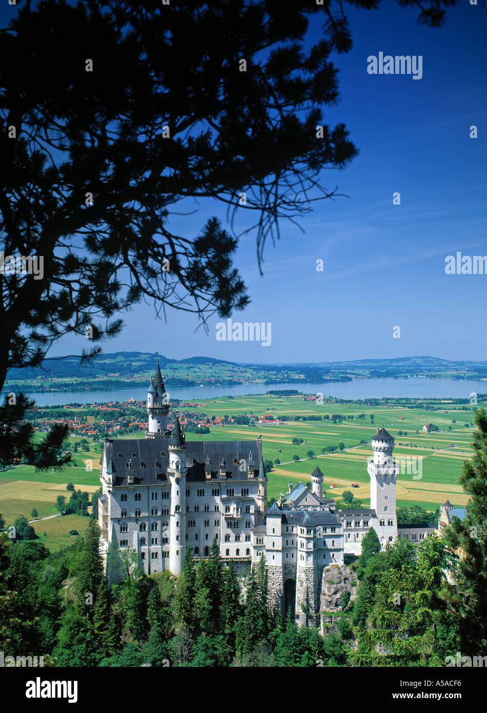 Neuschwanstein Castle, Schwangau, Bavaria, Germany Stock Photo - Alamy