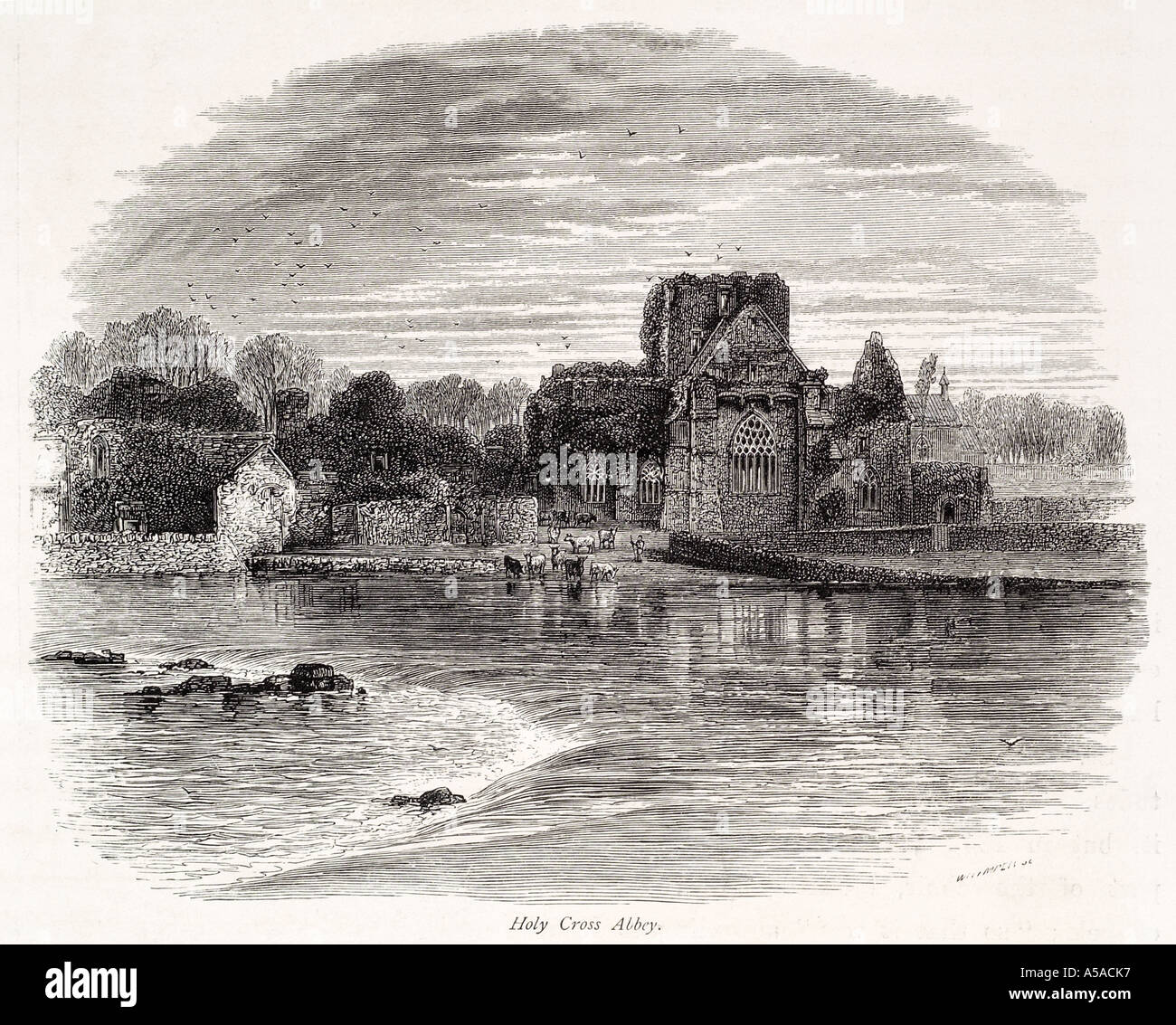 holy cross abbey Tipperary river Suir County weir water derelict ruin ...
