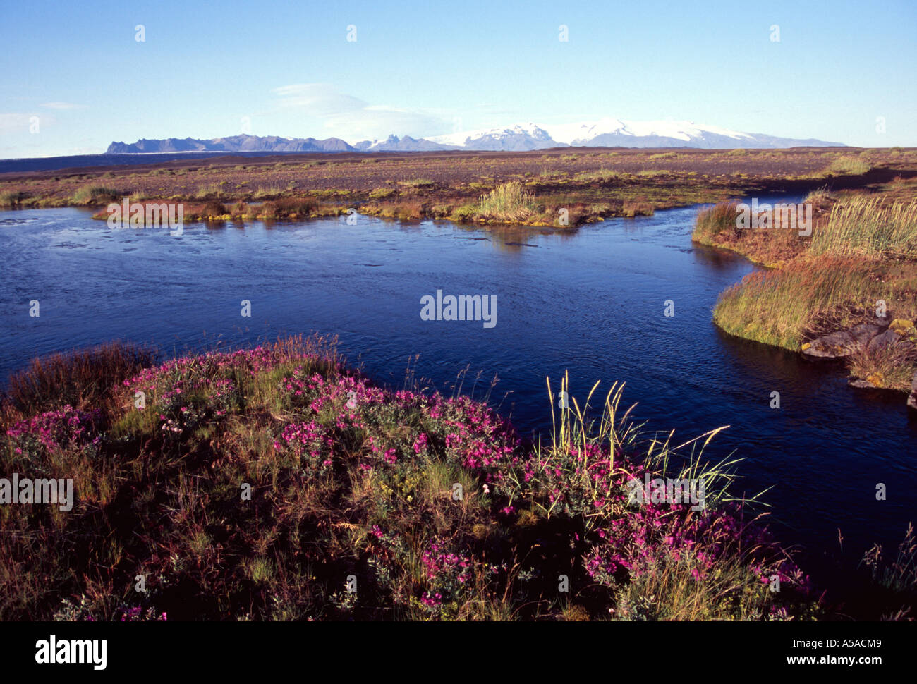 south iceland by highway one summer blue lake tundra sparse vegetation ...