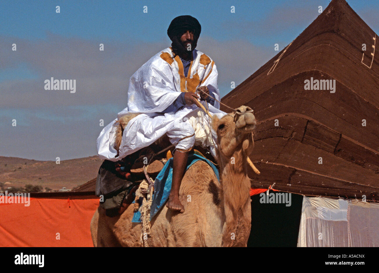 Man riding camel hi-res stock photography and images - Alamy