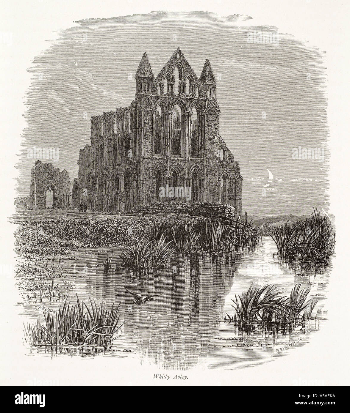 whitby abbey yorkshire derelict ruin church Christian pond water duck ...