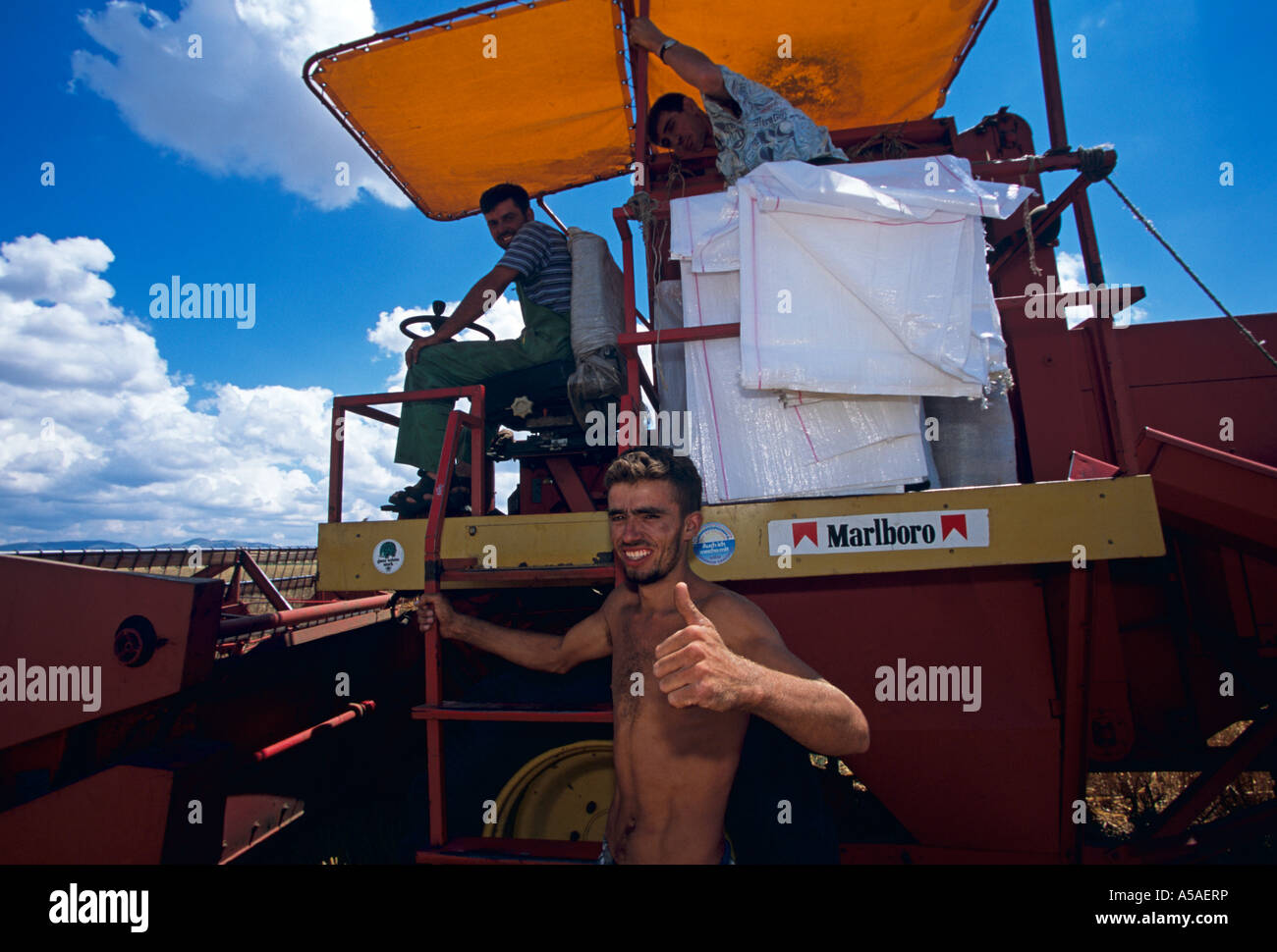 Construction workers with a bulldozer in Kosovo Serbia Stock Photo - Alamy