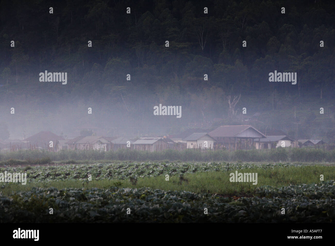 Misty morning over a small village Stock Photo - Alamy