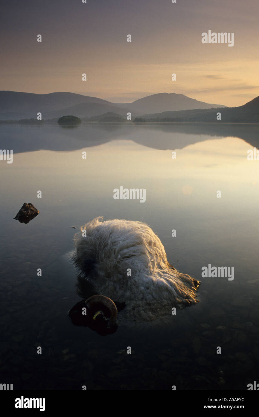 Seep lakes hi-res stock photography and images - Alamy