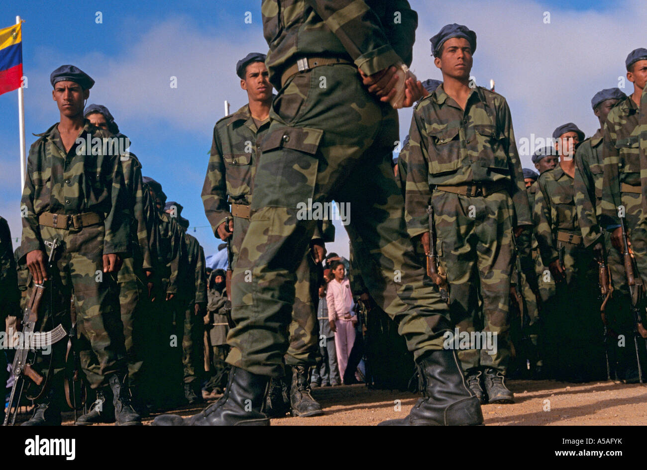 Soldiers lined hi-res stock photography and images - Alamy