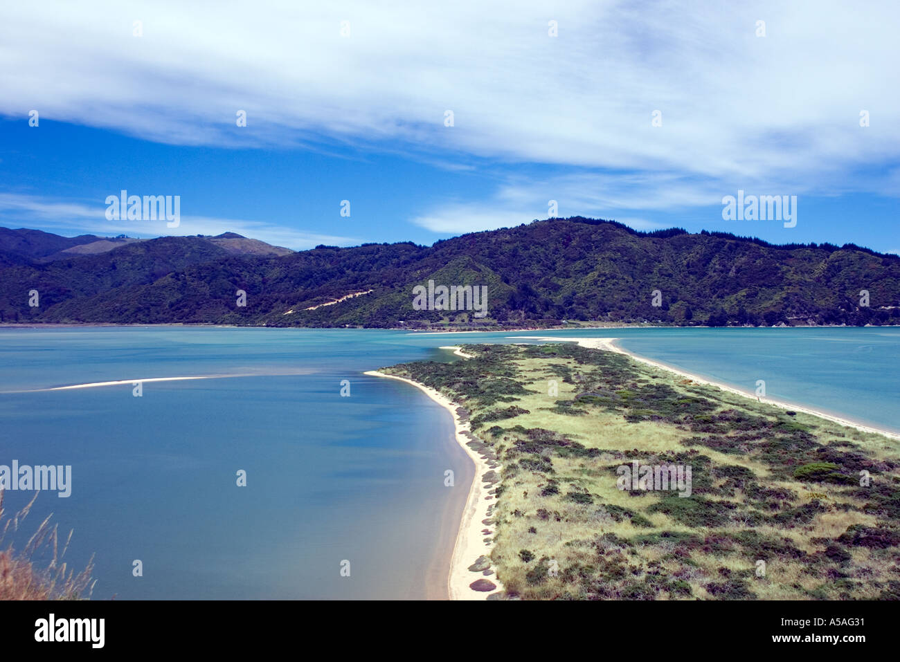 A view of the tide receding in Wainui Bay at the edge of the Abel ...