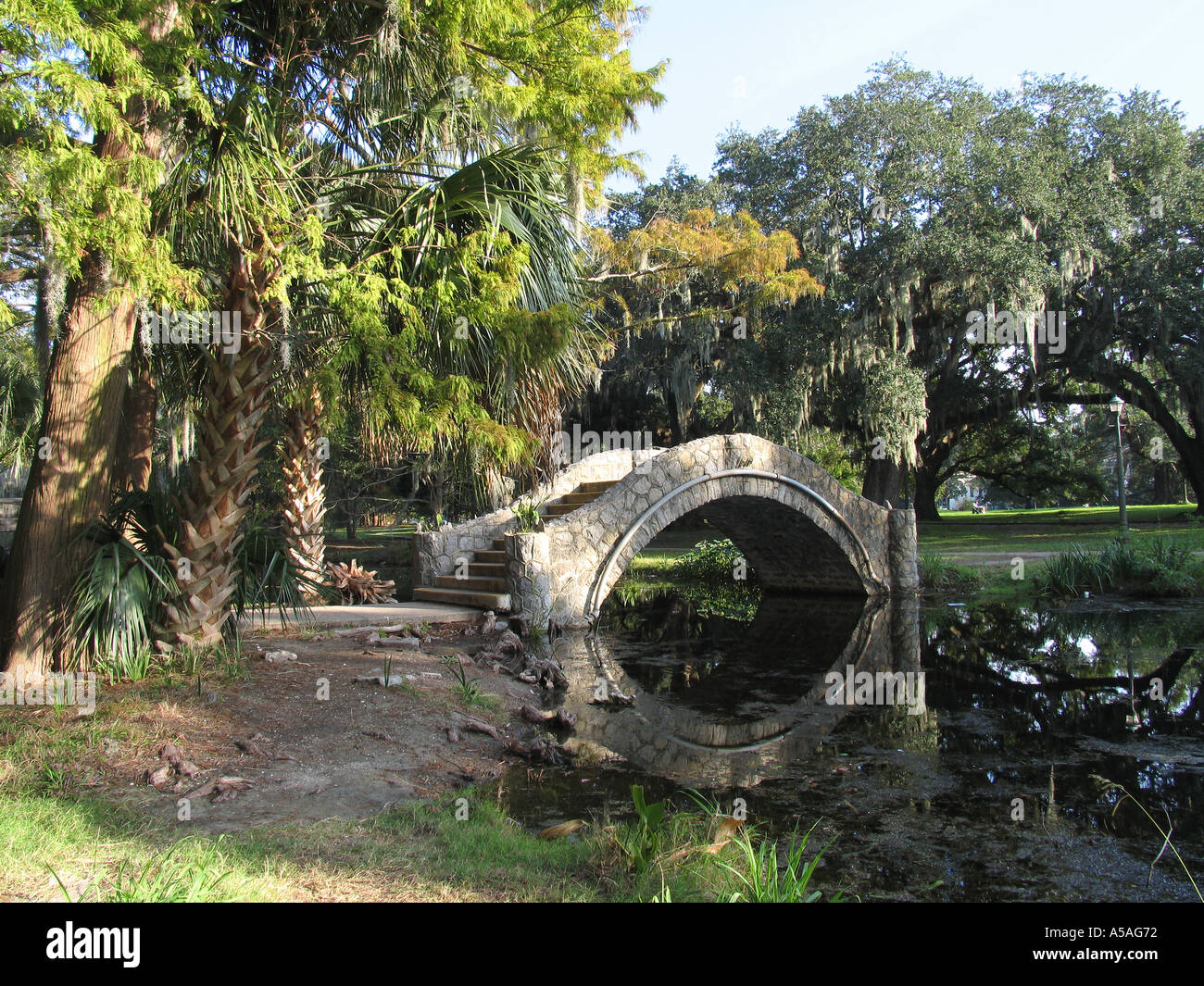 Bridge over swampy water Stock Photo - Alamy