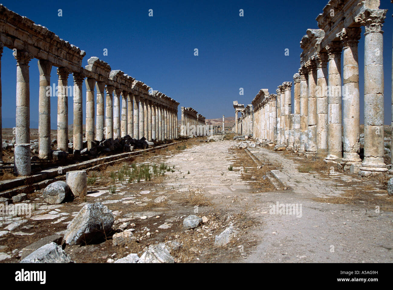 A view of the pillars of Roman ruins in Palmyra Stock Photo - Alamy