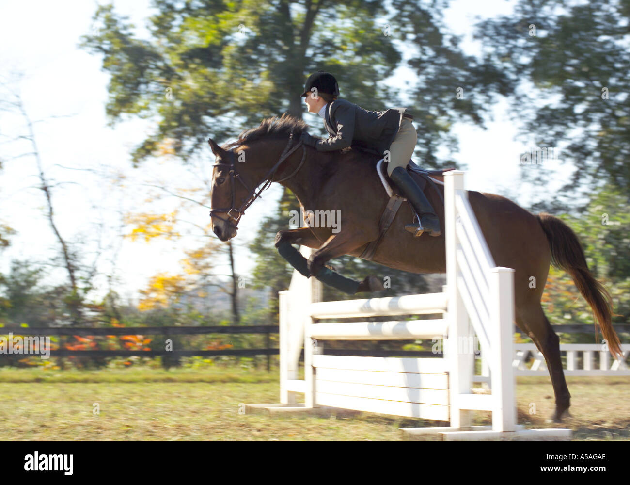Horse jump obstacle hi-res stock photography and images - Alamy