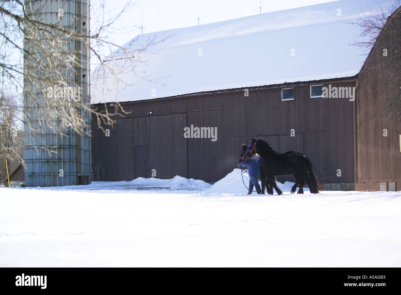 White horse handler hi-res stock photography and images - Alamy