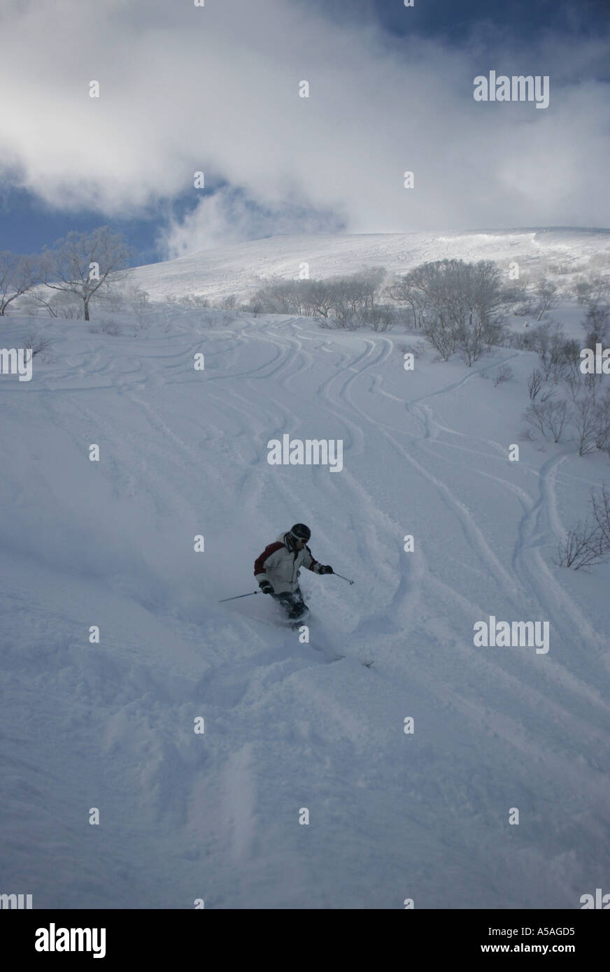 Skiing down Mount Niseko Annupuri Niseko Hokkaido Japan Stock Photo - Alamy