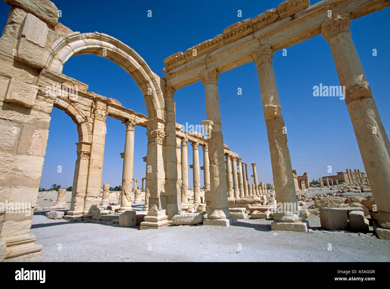 A view of the Roman ruins in Palmyra Syria Stock Photo - Alamy