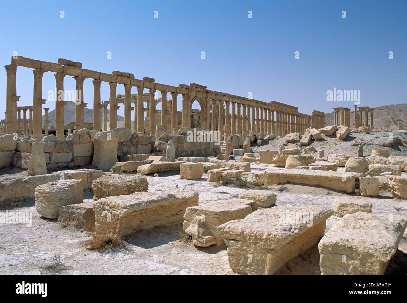 A view of the Roman ruins in Palmyra Syria Stock Photo - Alamy