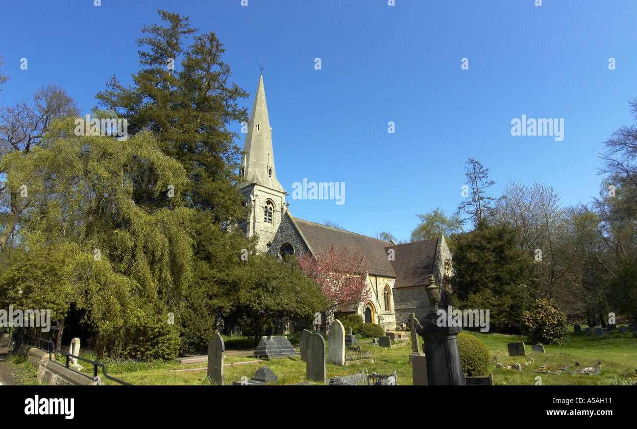 High beach epping forest hi-res stock photography and images - Alamy