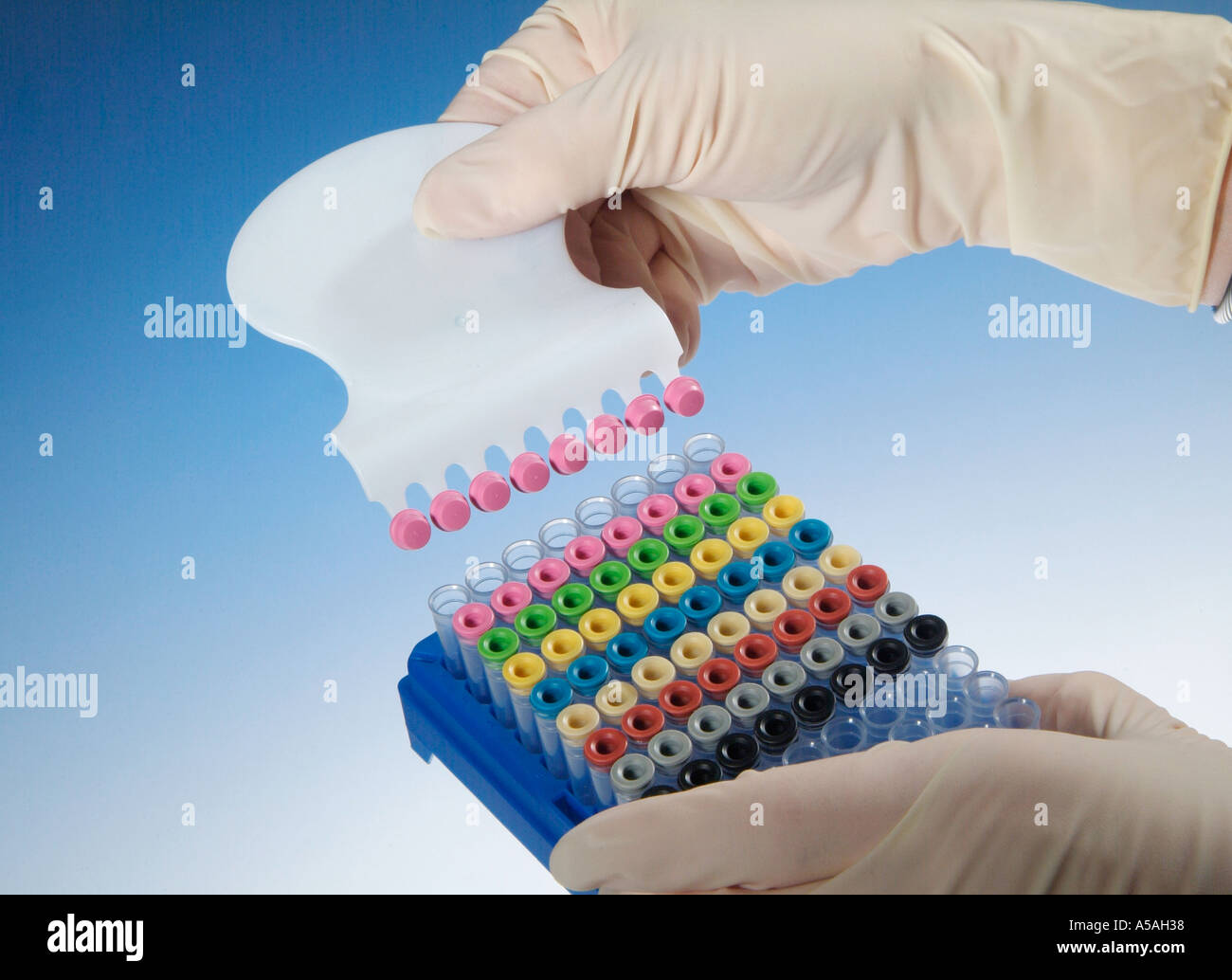 Apparatus testing hi-res stock photography and images - Alamy