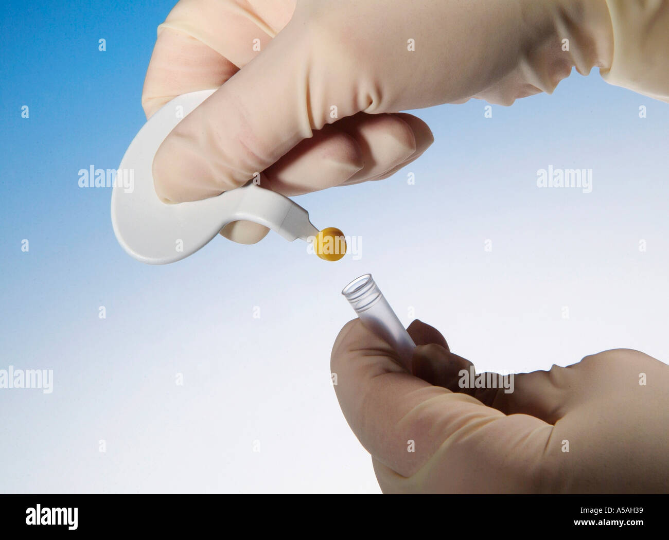 Plastic test tube being opened for medical testing and research Stock ...