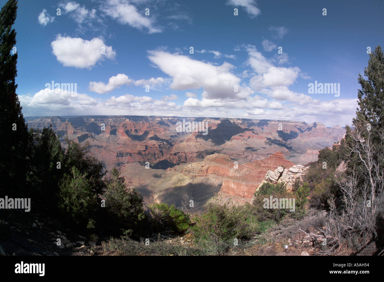 View from Yavapai Point Grand Canyon National Park AZ Stock Photo - Alamy