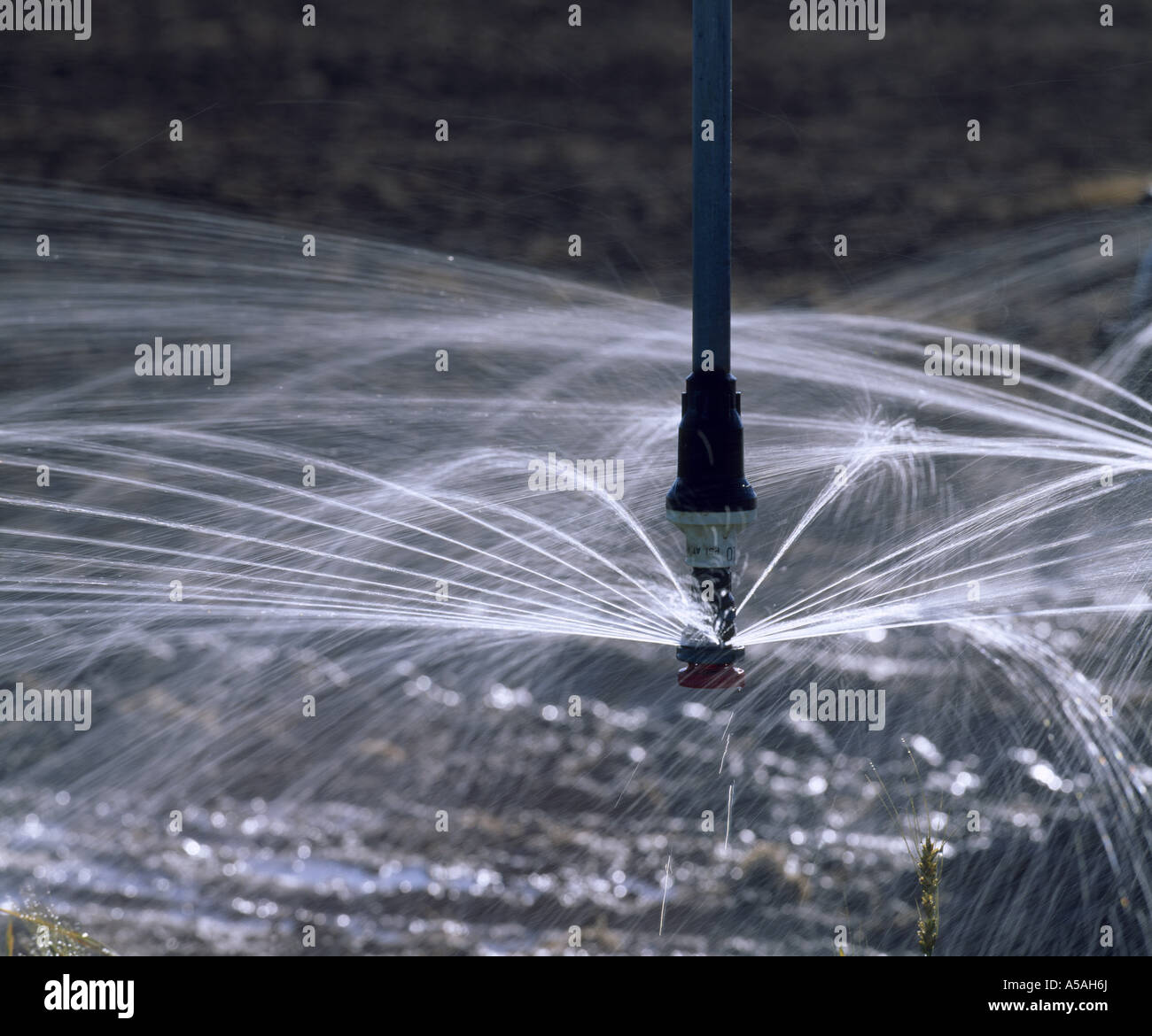 Sharon springs hi-res stock photography and images - Alamy