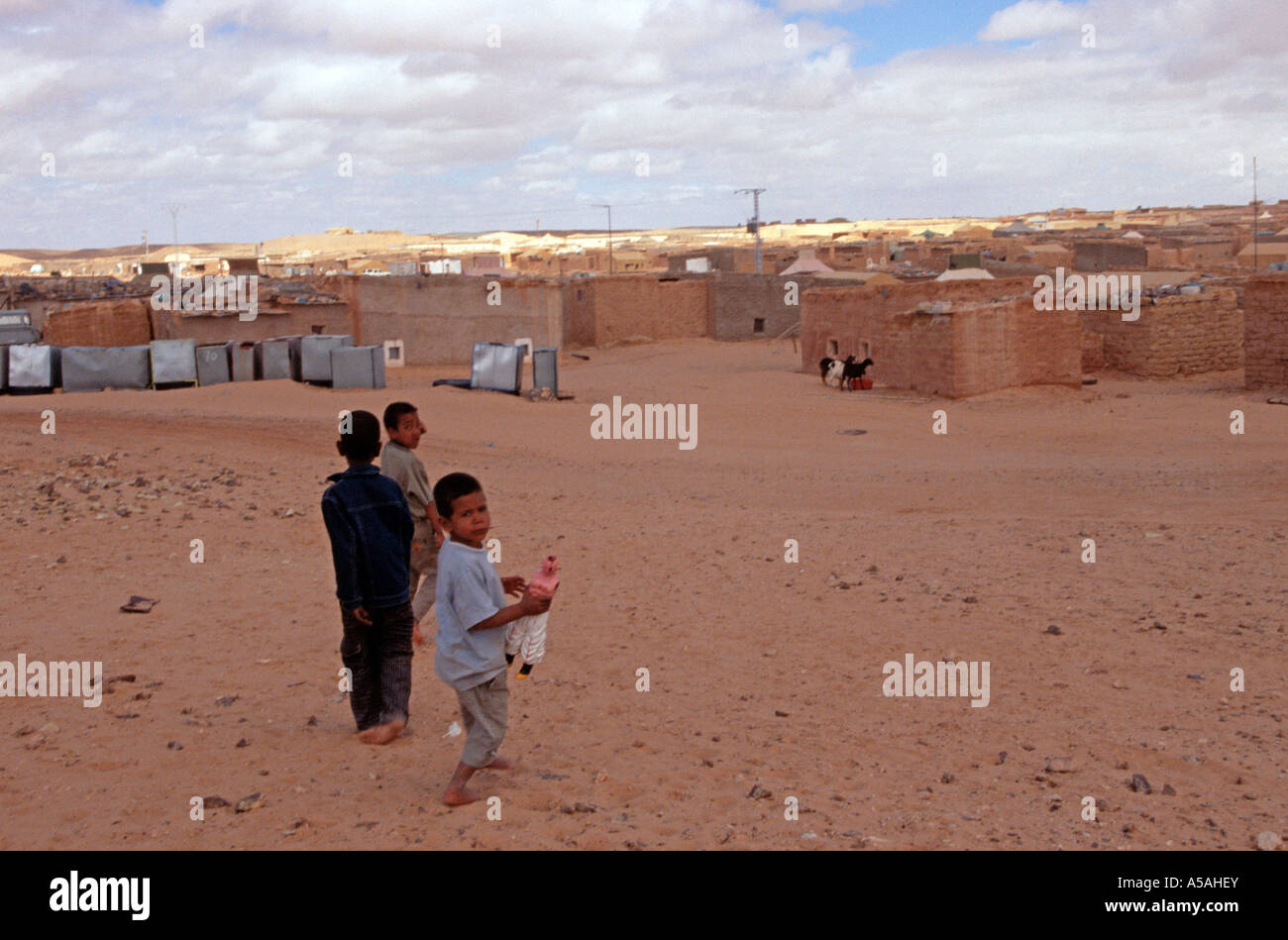 Sahrawi children playing in Tindouf Western Algeria Stock Photo - Alamy