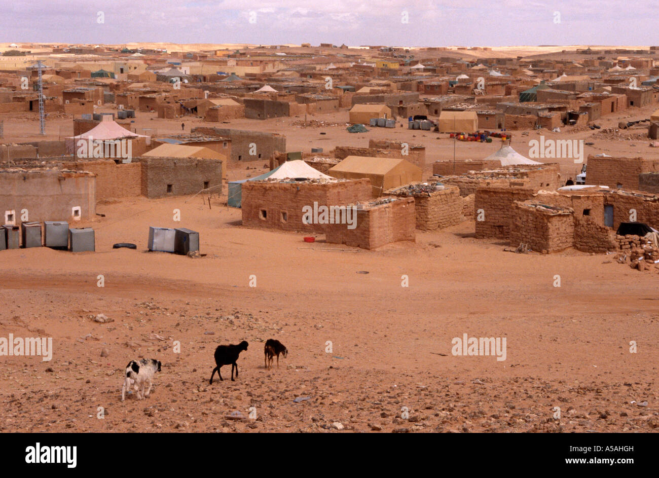 Tindouf hi-res stock photography and images - Alamy