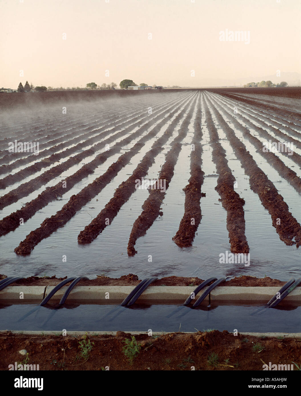Flood irrigation irrigating hi-res stock photography and images - Alamy