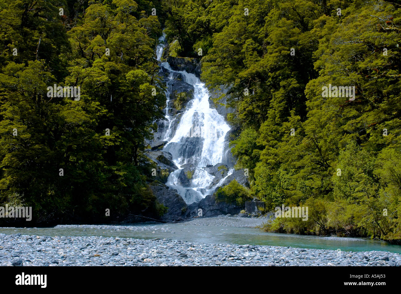 Fantail Waterfall Haast Pass South Island New Zealand just off State ...