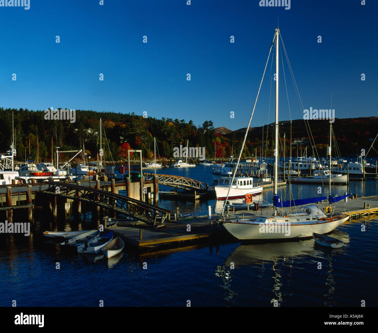 Northeast mast hi-res stock photography and images - Alamy