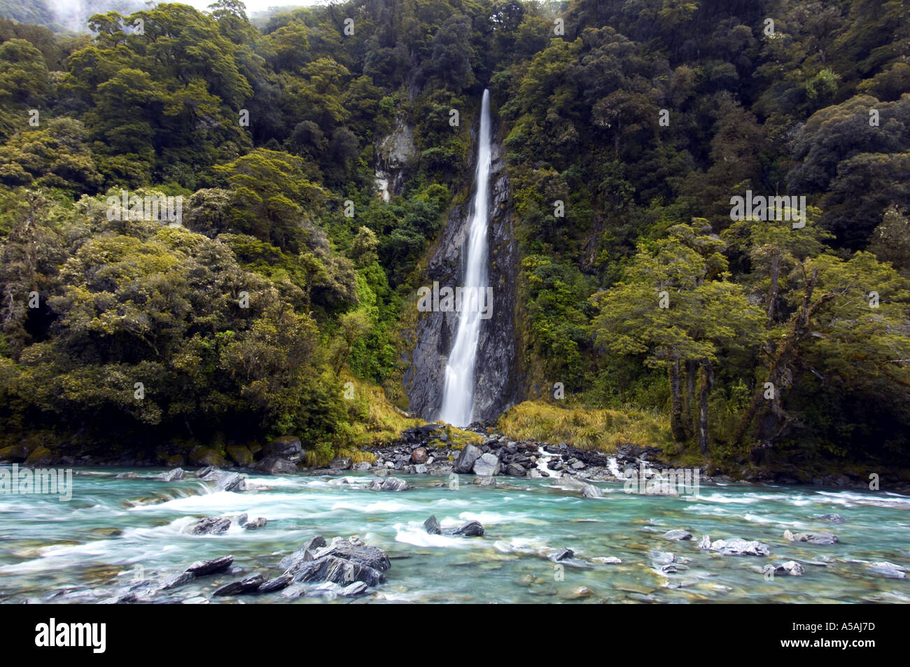 Thunder Creek Waterfall Haast Pass South Island New Zealand Stock Photo ...