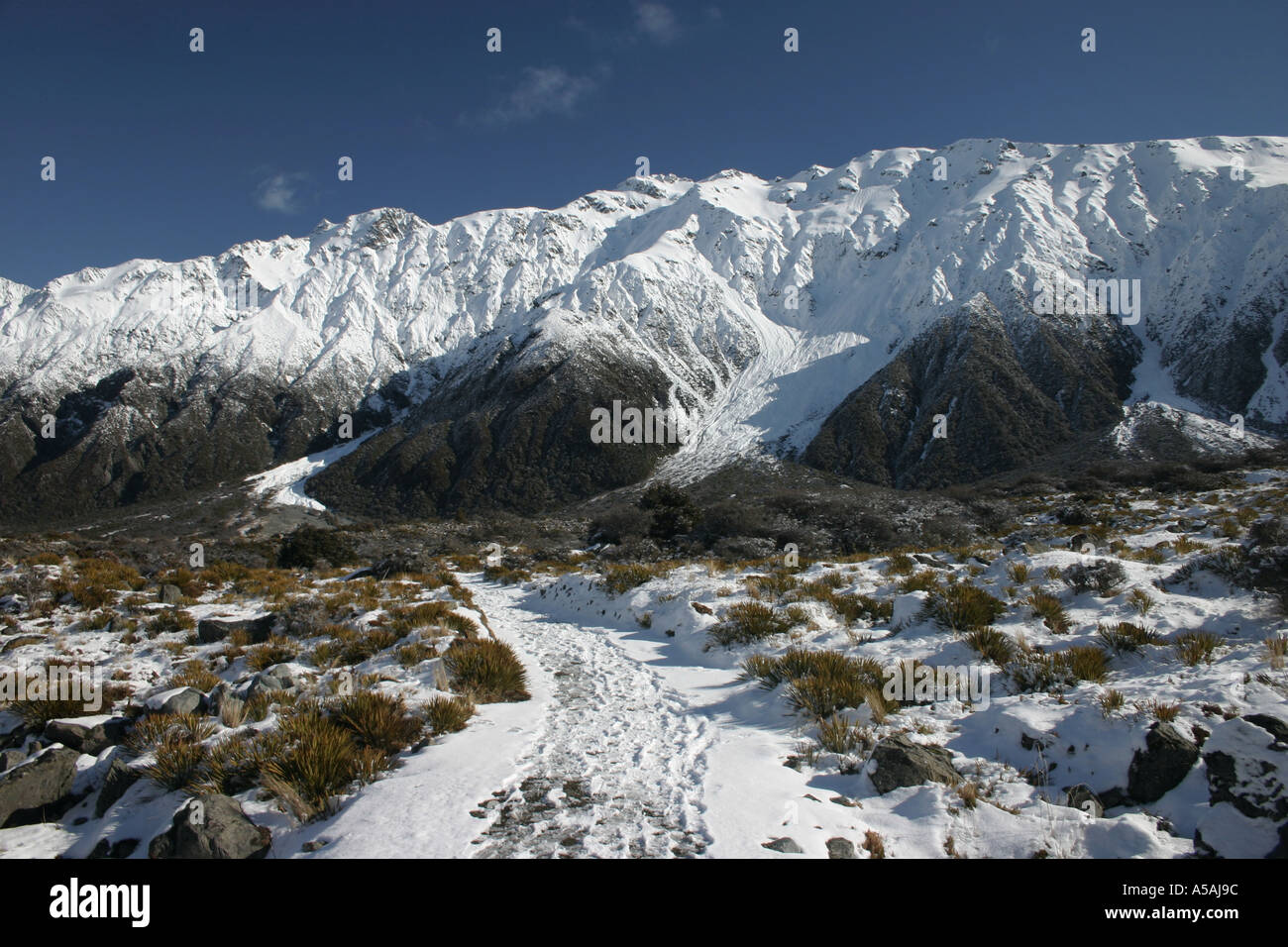 Mount Sebastopol Mount Cook National Park Canterbury New Zealand Stock ...