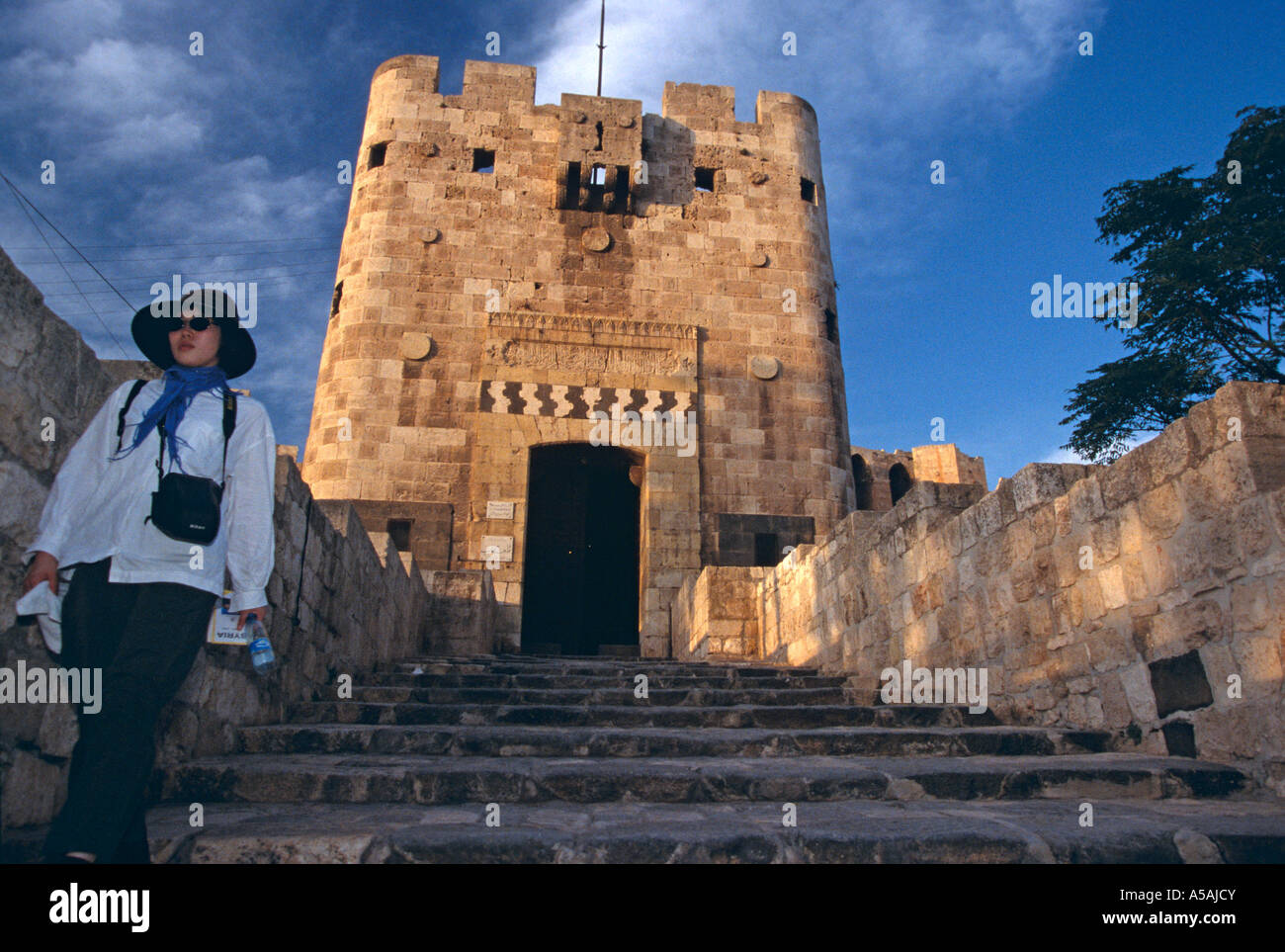 A view of the Aleppo Citadel Syria Stock Photo - Alamy