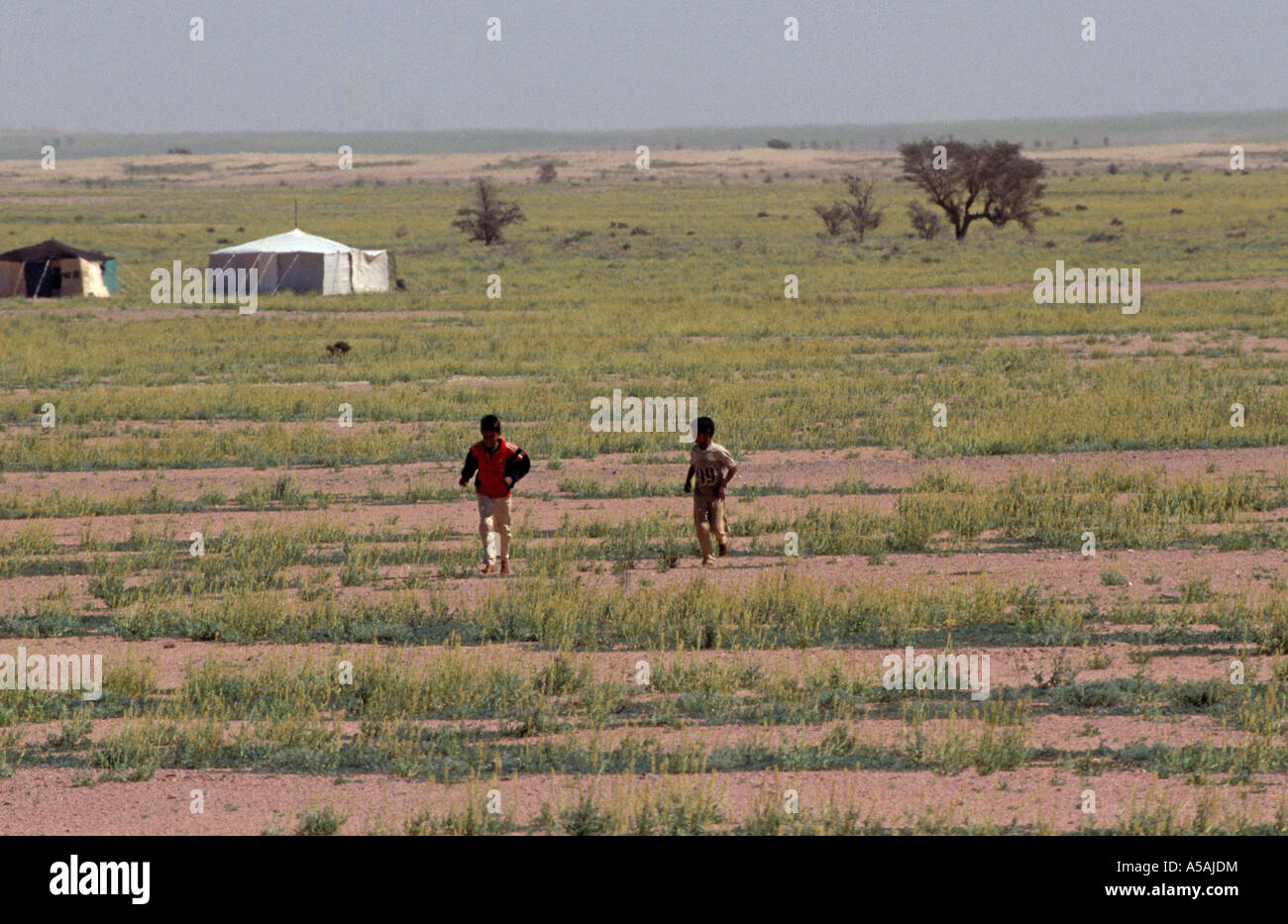 Two boys playing in the field at saharawi Western Sahara Stock Photo ...