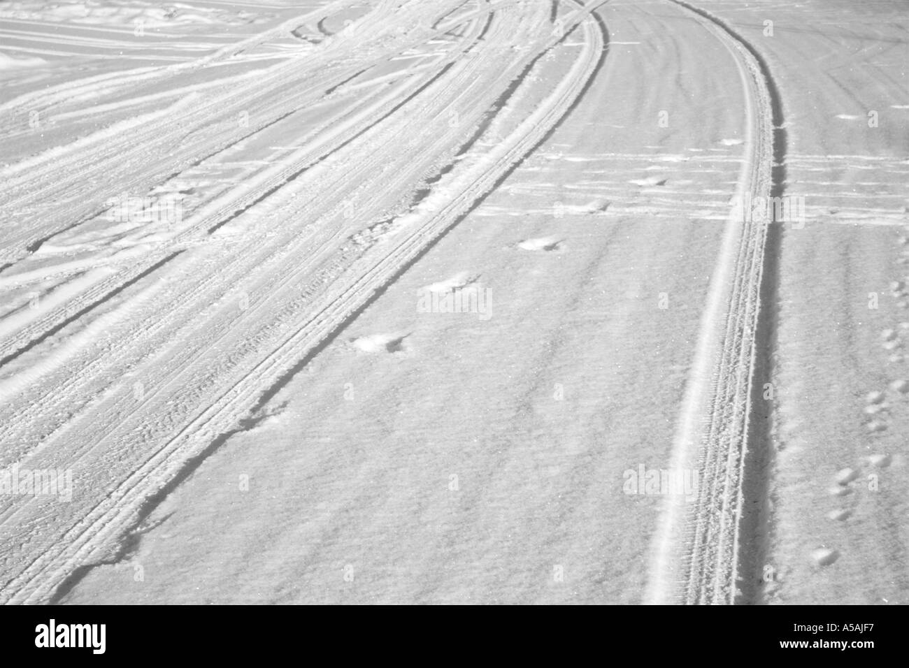Tracks in the snow Stock Photo - Alamy