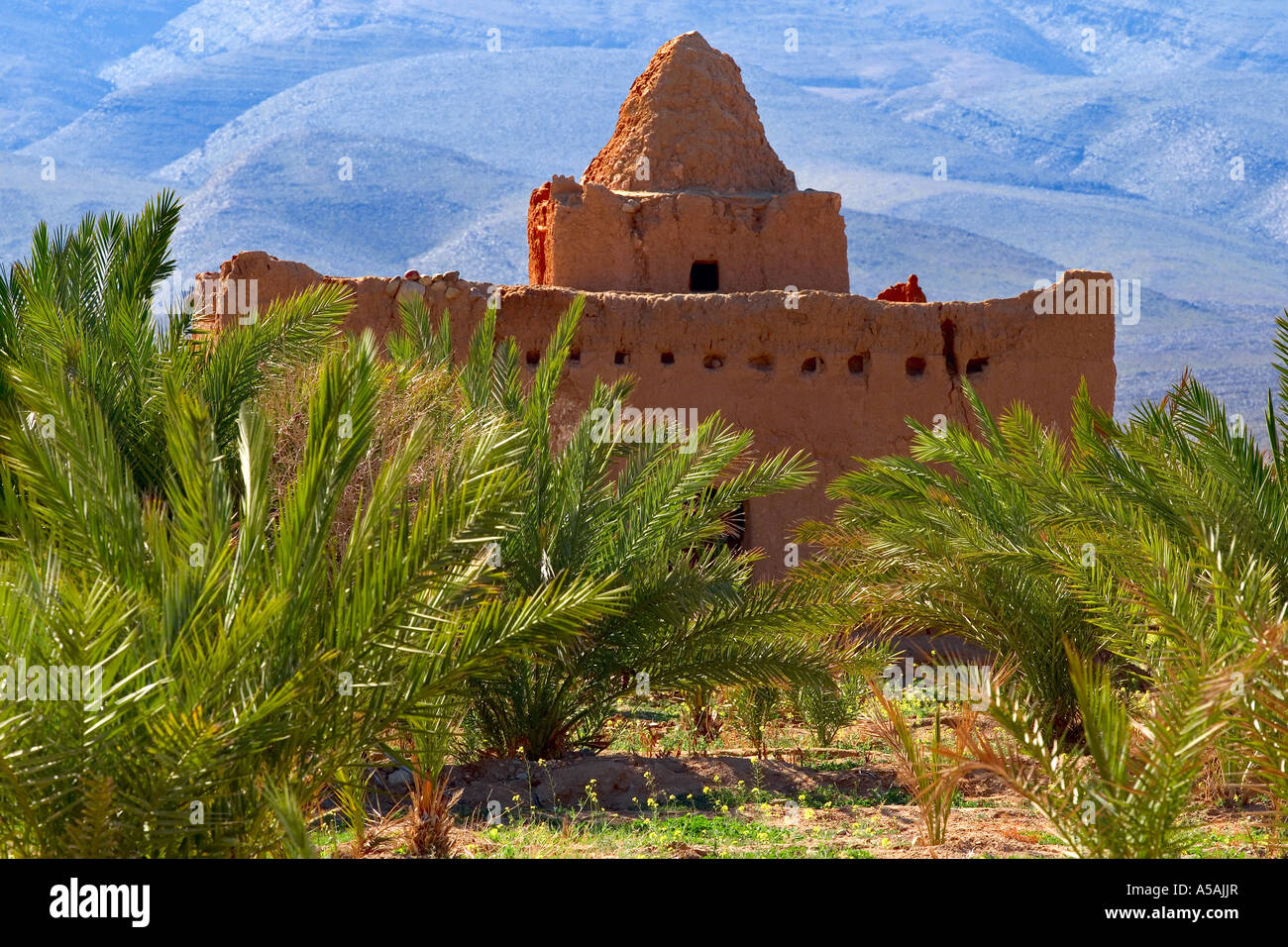 Ksar in Draa Valley Morocco Stock Photo - Alamy
