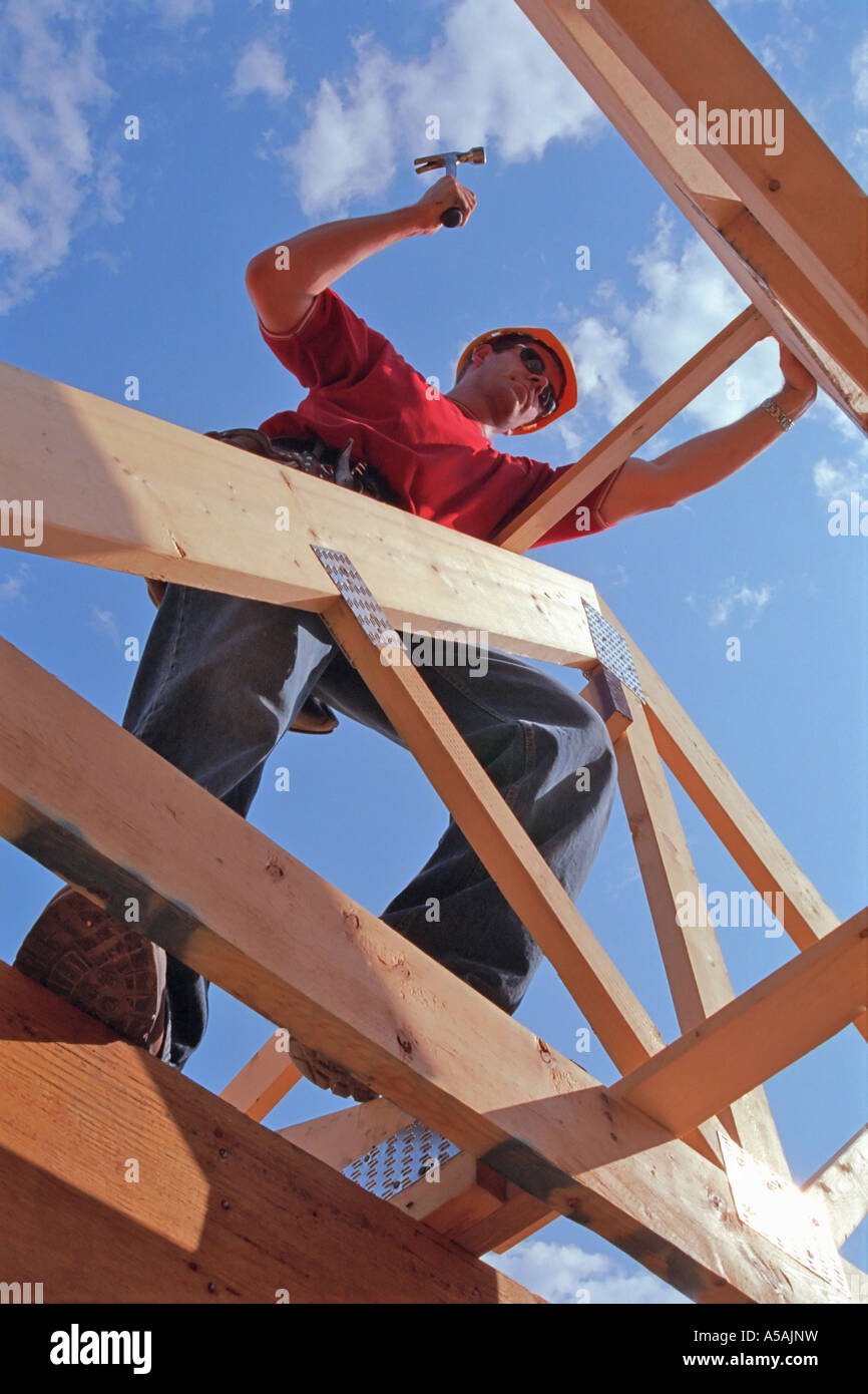 Construction worker with hammer in hand working on the trusses of a ...