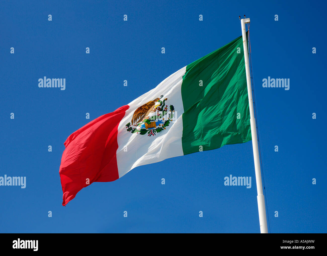 Two golden eagles and a gigantic Mexican flag are located close to the ...