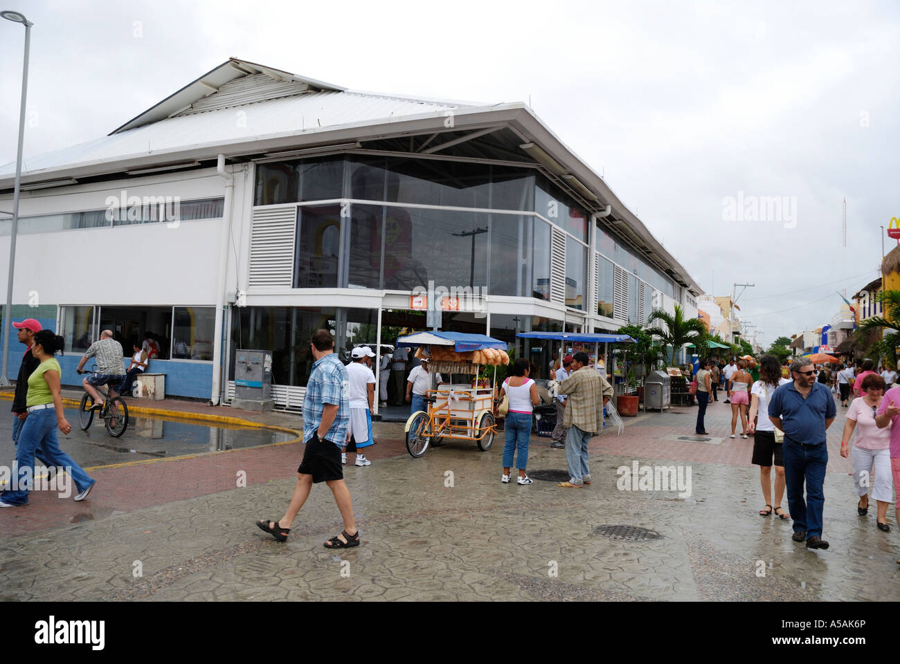 From the new bus station on 5th Avenue Avenida Juares in Playa del ...