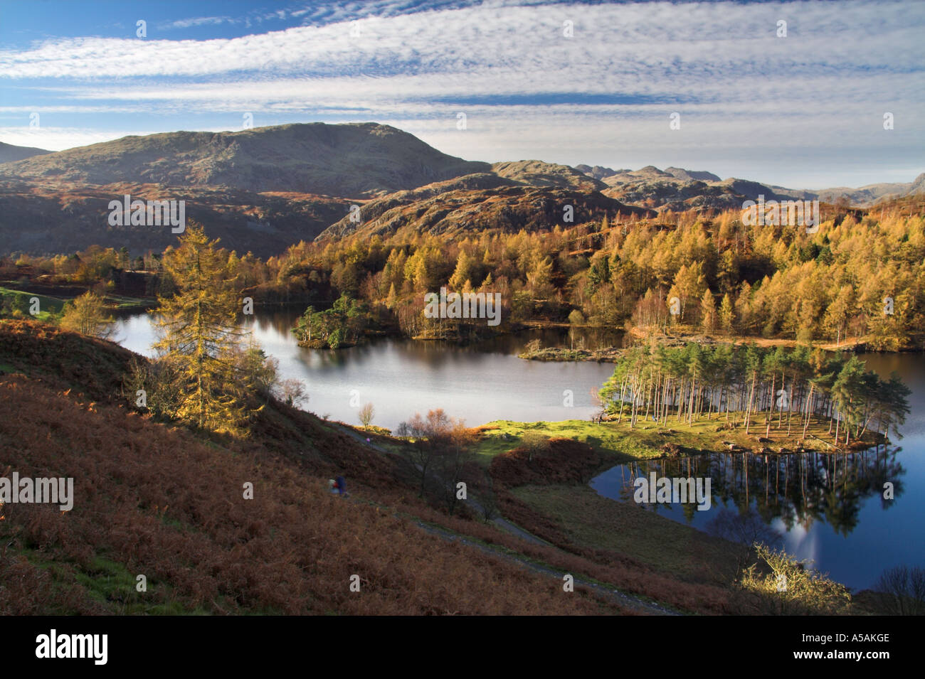 Tarn Hows surrounded by autumn colours Stock Photo - Alamy