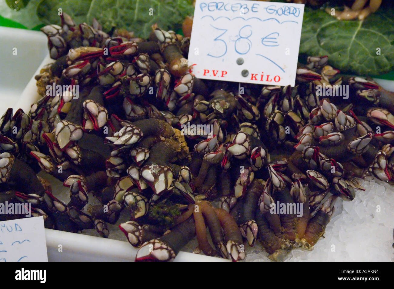 Shellfish on a market stall in La Boqueria Barcelona Spain Stock Photo ...