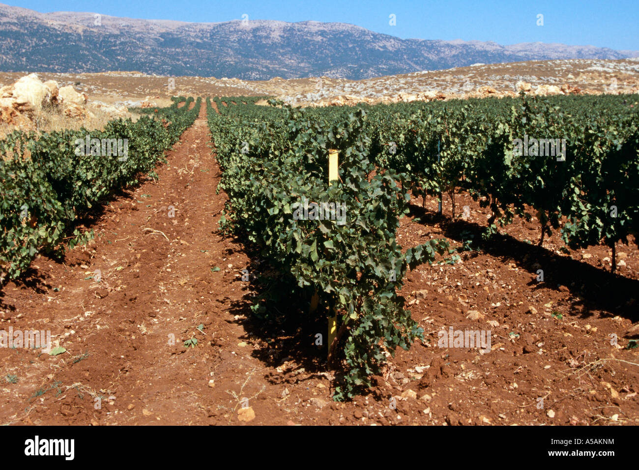 Bekka hi-res stock photography and images - Alamy