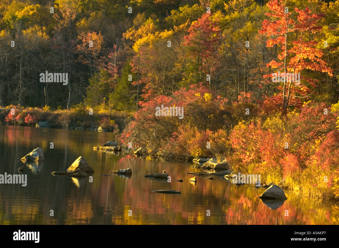 Claytor lake hi-res stock photography and images - Alamy
