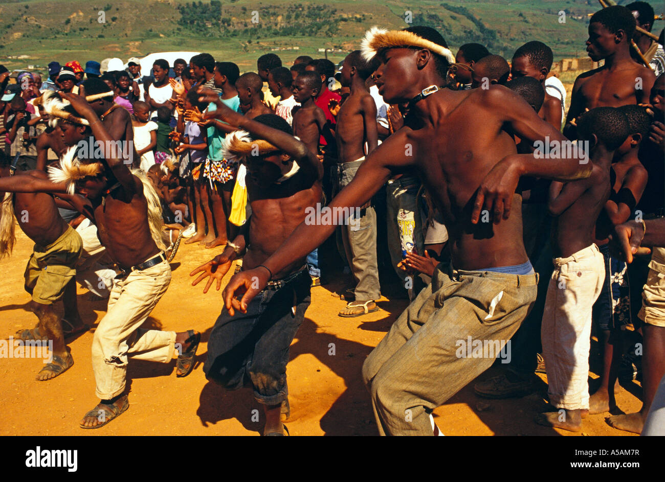 Indlamu dance hi-res stock photography and images - Alamy