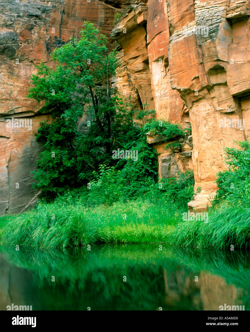 Ciear High Resolution Stock Photography and Images - Alamy