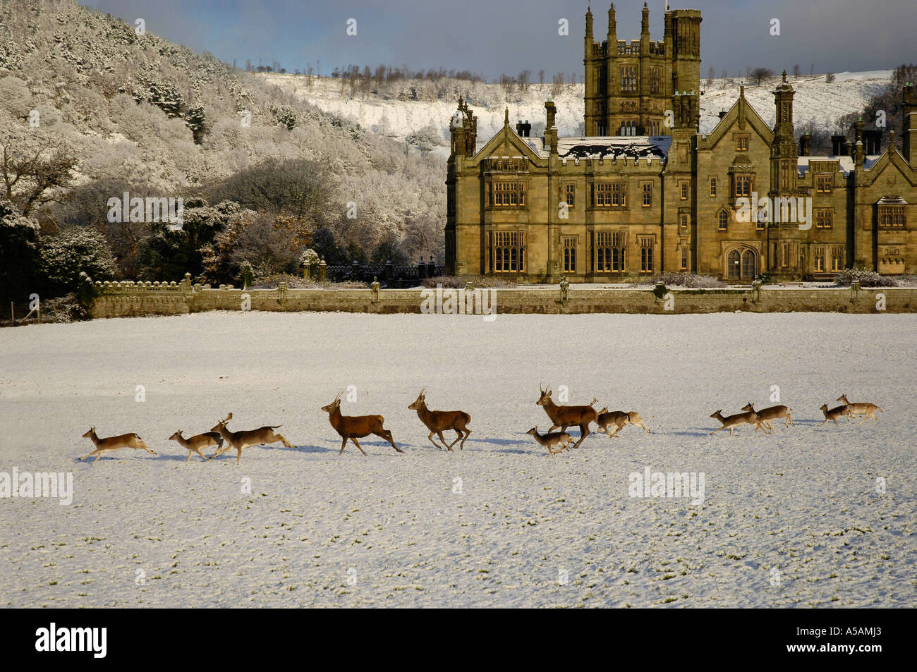 Castle park neath south wales hi-res stock photography and images - Alamy