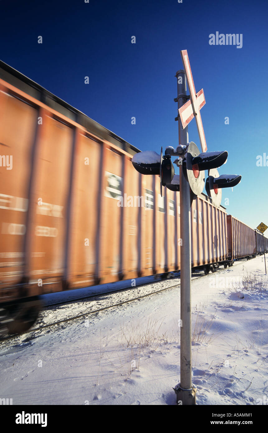 Train of wood chip cars Smithers British Columbia Stock Photo - Alamy