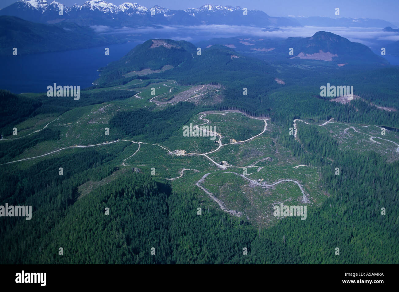 Aerial view of logging cutblocks Johnstone Strait British Columbia ...