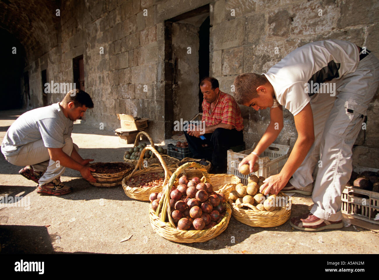 Vegetable sellers, Tripoli, Lebanon Stock Photo - Alamy
