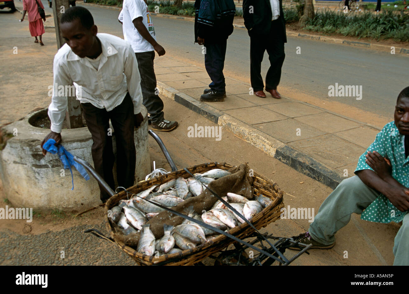 Man selling fresh fish on roadside, Kampala Uga,nda Stock Photo - Alamy